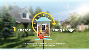 Site web de Birdfy France - Mangeoire oiseaux camera – birdfyfr